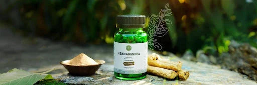 ¿Qué es la Ashwagandha? Beneficios, uso y dosificación de esta versáti – Vanan Herbal