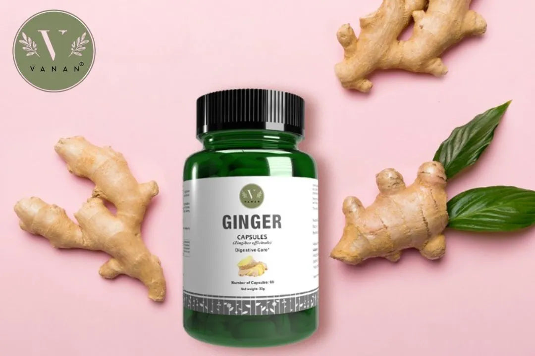 What is Ginger? Learn everything about this immune system booster – Vanan Herbal