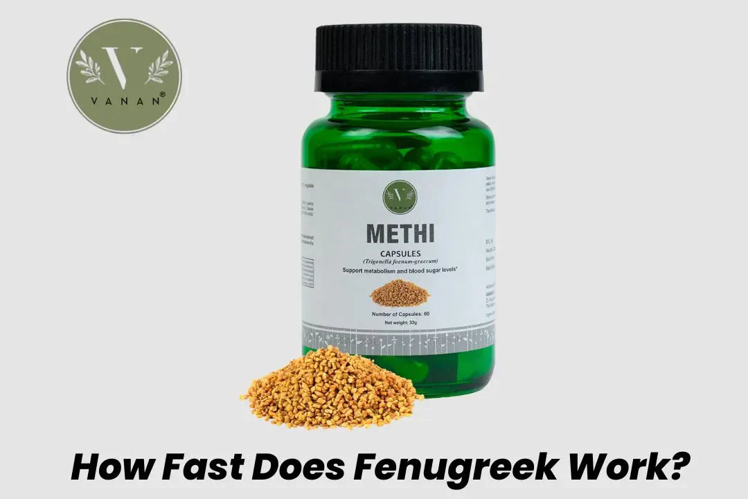 Hoe snel werkt fenegriek? Dit kunt u verwachten – Vanan Herbal